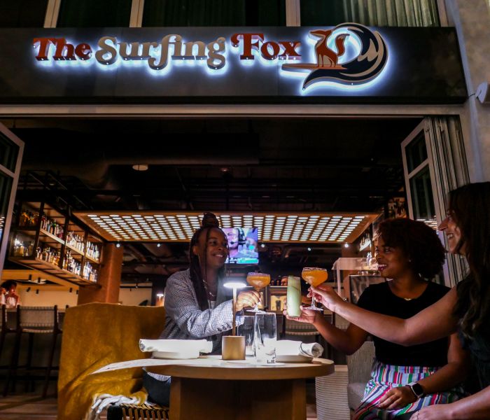 Surfing Fox: RFP - The Surfing Fox